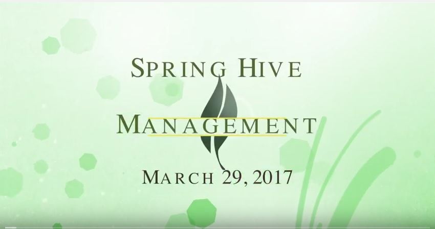 Beekeeping: Spring Hive Management